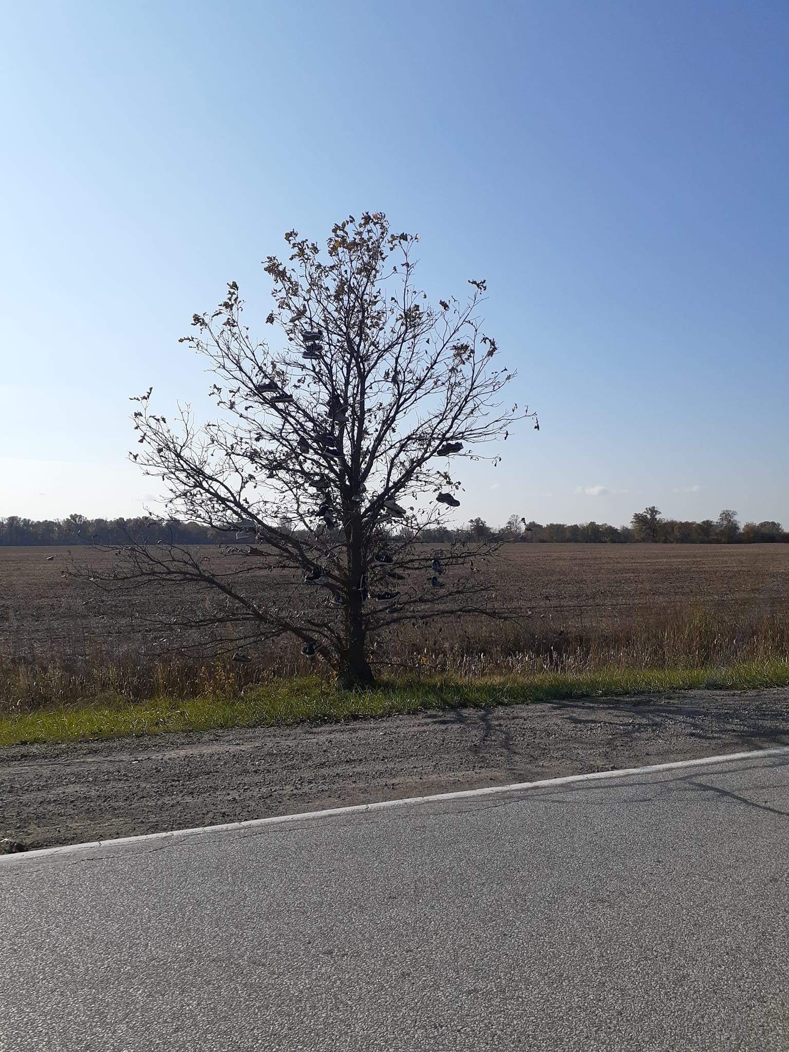 Windsor's Country 95.9 & 92.7